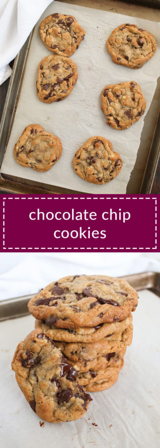 chocolate chip cookies | tasty seasons