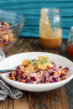 fresh vegetable spring roll noodle bowls | tasty seasons